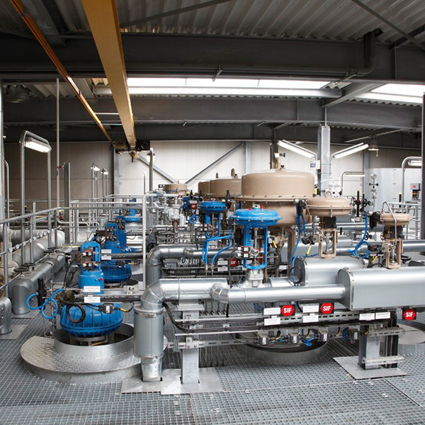 Max Straube – Die Warmintelligenz - Max Straube